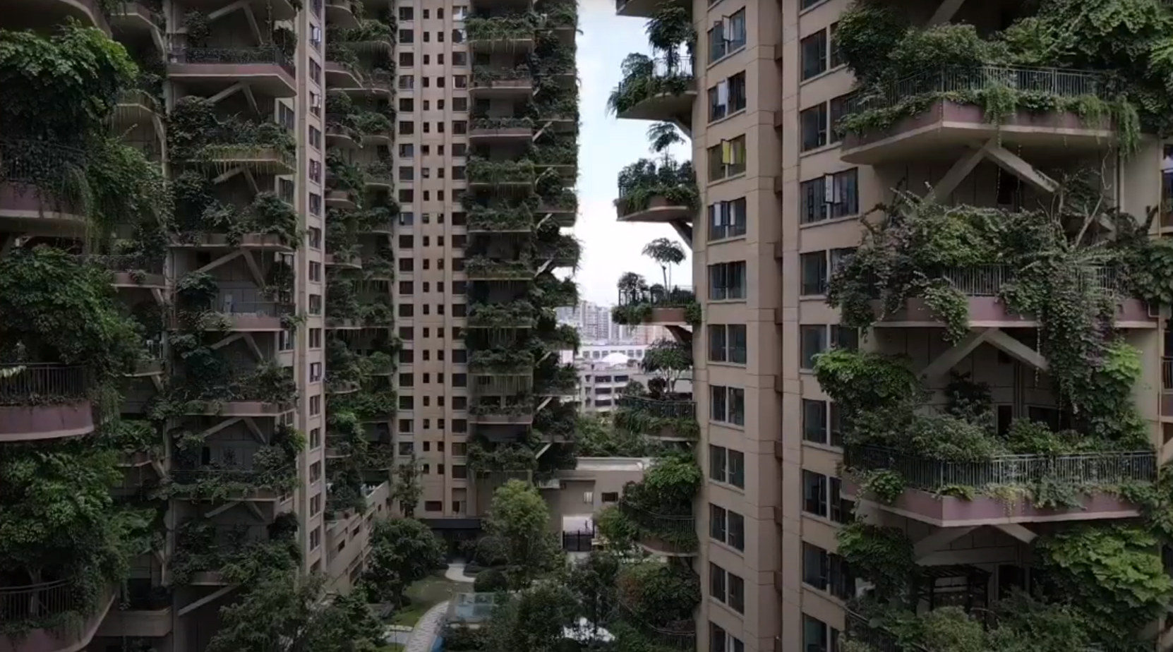 Bugged out: Chengdu housing scheme shows unexpected downside of green ...