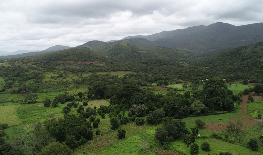 Transforming Guinea: Chinese-backed group to build 650km railway in ...