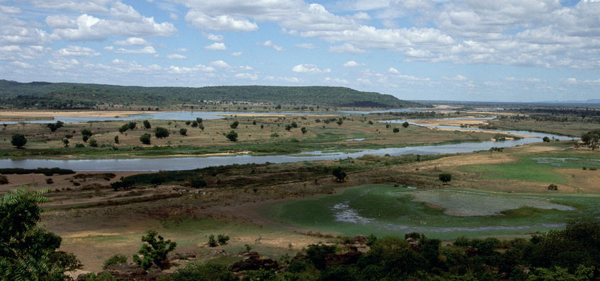 Nigeria awards $5.8bn Mambilla hydro scheme to Chinese firm - Global ...