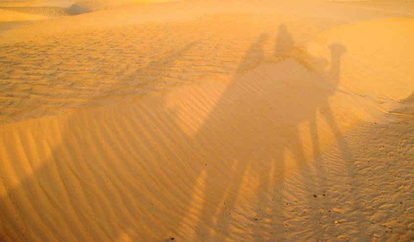 World's largest solar power plant gets second chance in Tunisia ...