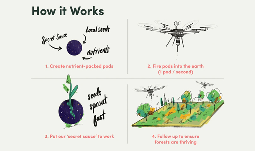 Tree bombing: Canadian company hopes to use drones to plant a billion ...