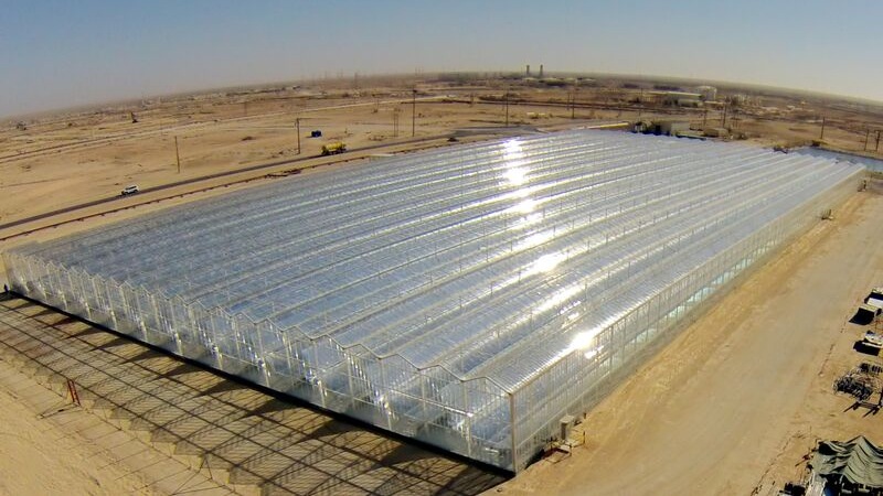 Oman to get world's biggest solar farm - to process oil - Global ...