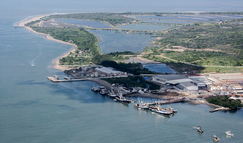 Dubai's ports giant to build Ecuador's first deepwater harbour - Global ...