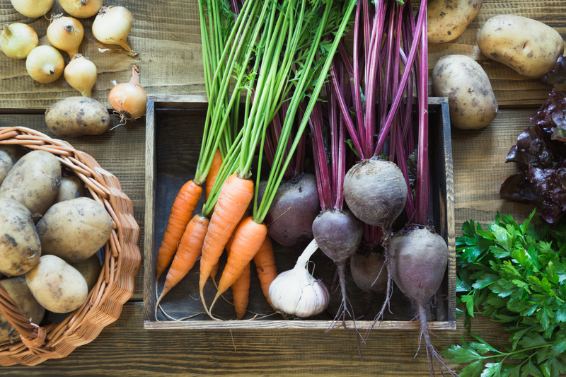 Carrots make concrete stronger, study finds - Global Construction Review