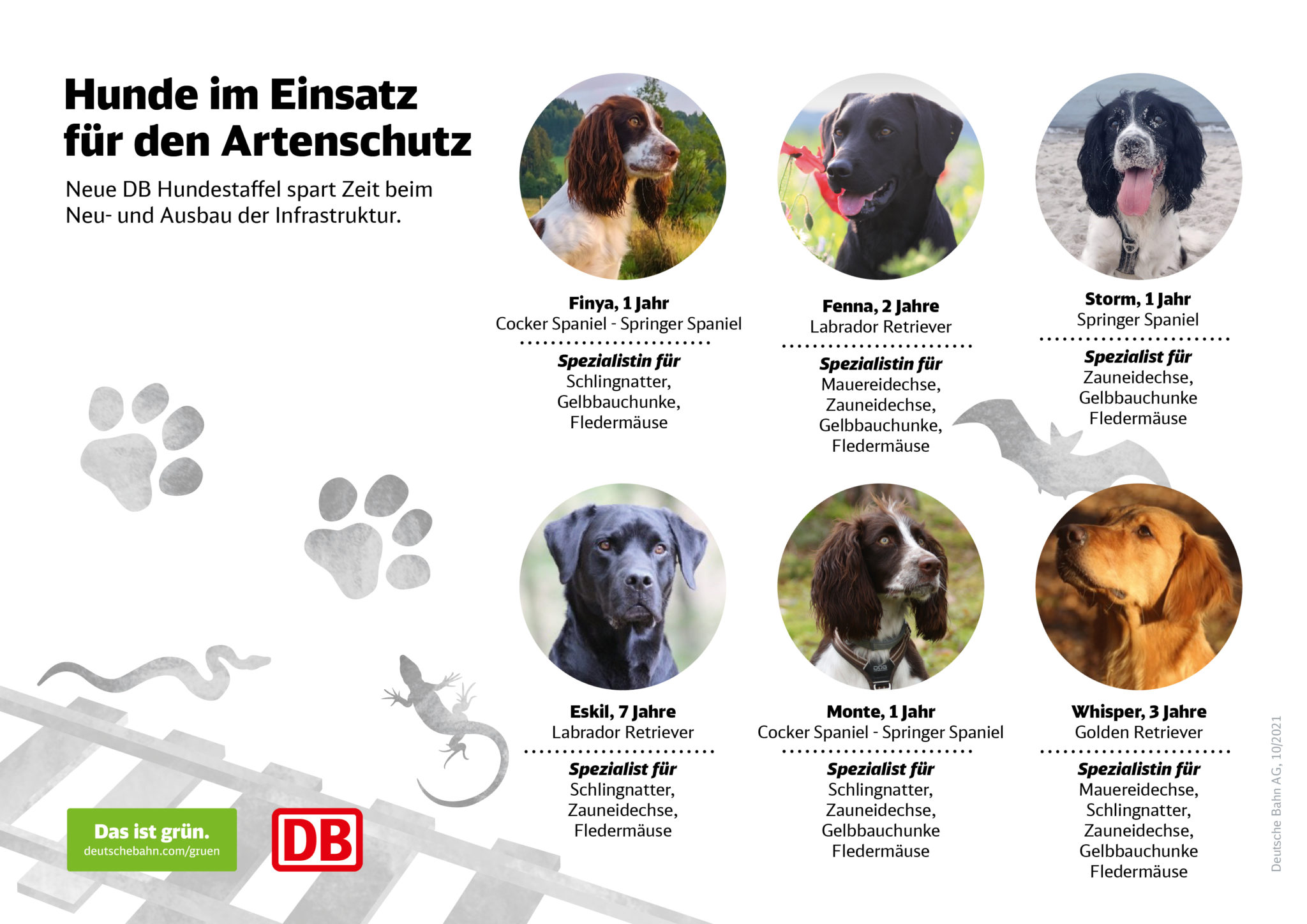 Deutsche Bahn trains dogs to slash construction times on major projects ...