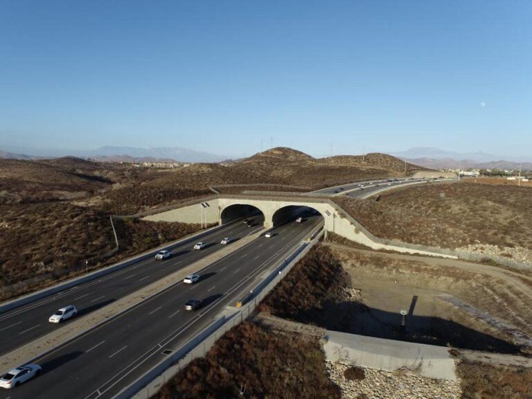 Jacobs builds California’s first wildlife overpass - Global ...